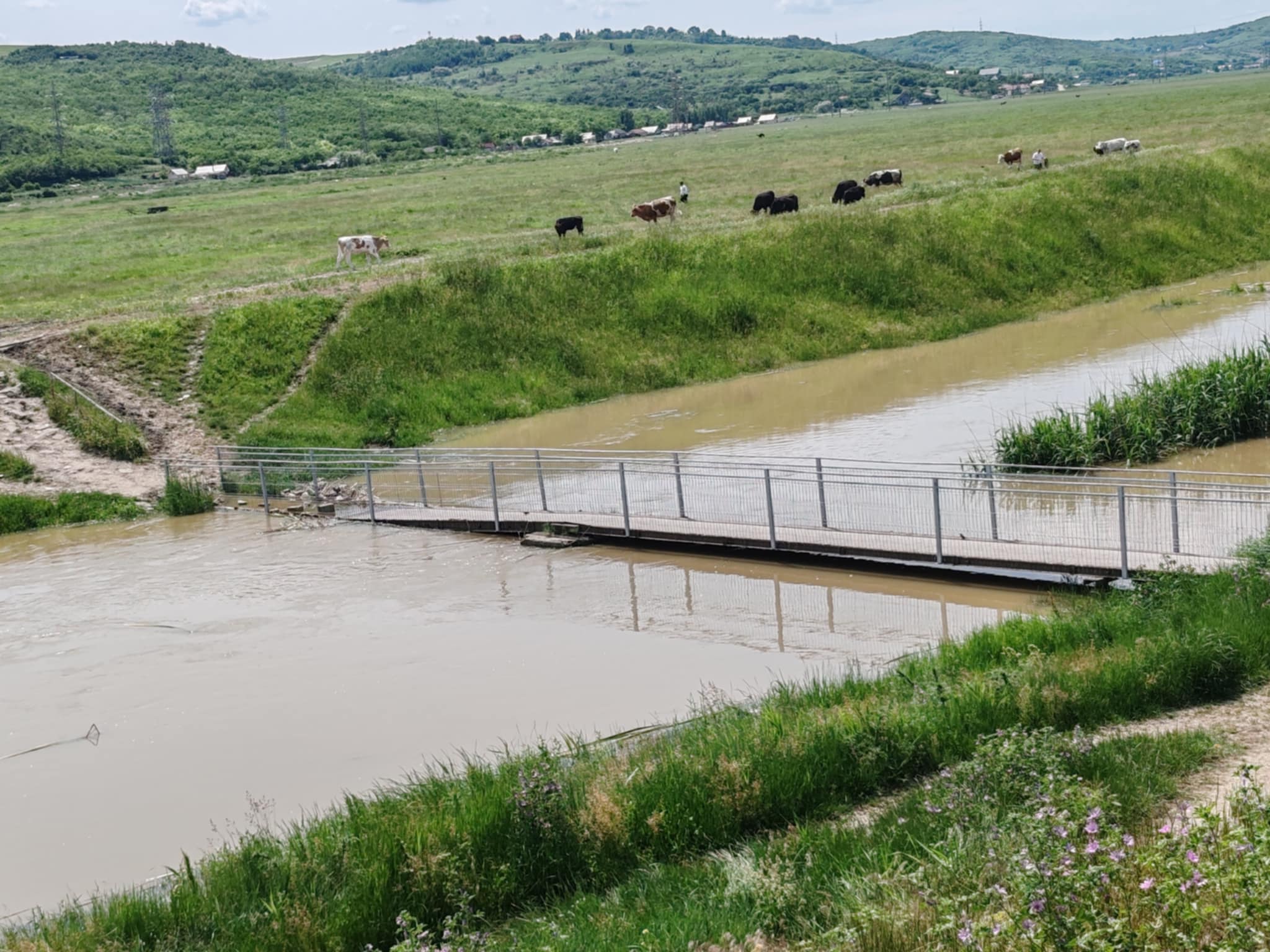 Cod roşu şi Cod portocaliu de inundaţii pentru râuri din judeţele ...