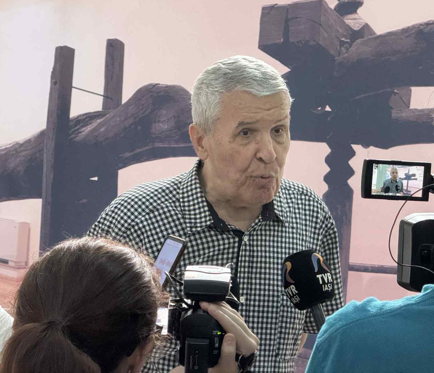 Academicianul ieșean Ion H. Ciubotaru a lansat o nouă cercetare: Târgul ...